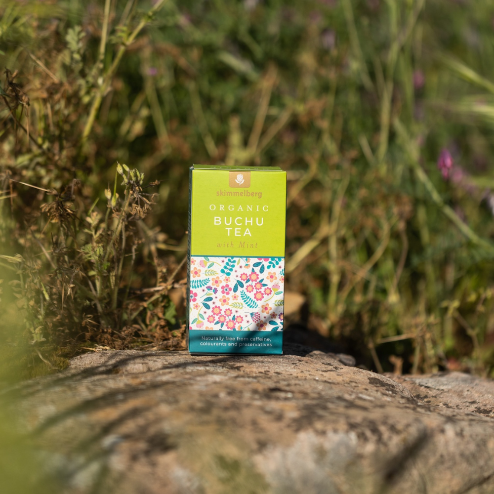 Organic Buchu Teas & Products | Shop Online | South Africa – Skimmelberg