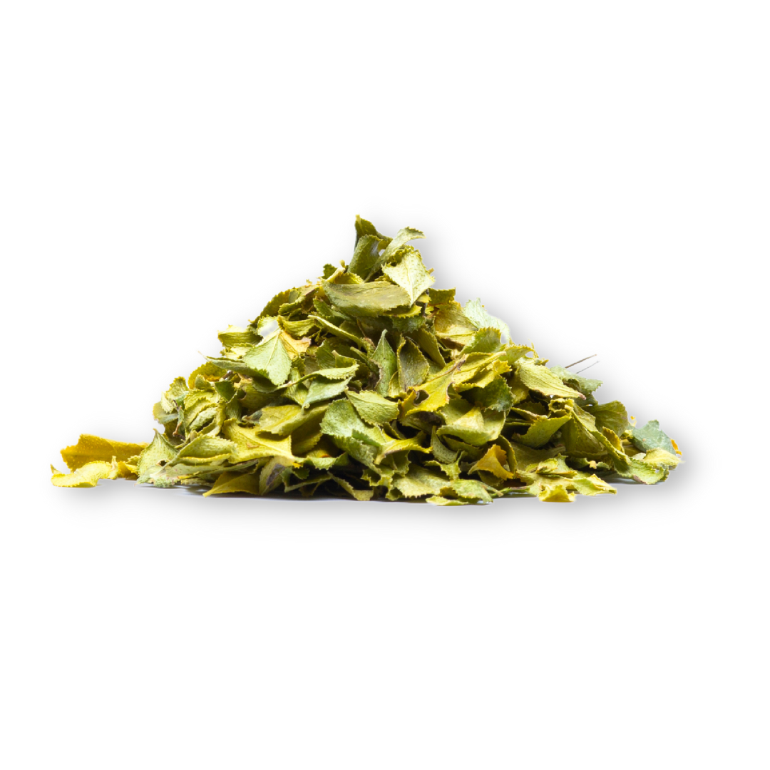 Bulk Buchu & Rooibos Products | Skimmelberg | South Africa
