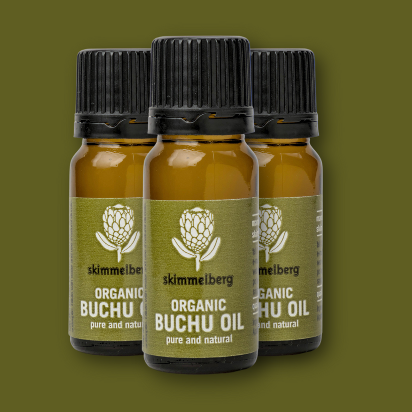 Organic Buchu Essential Oil | Buy Online | South Africa – Skimmelberg