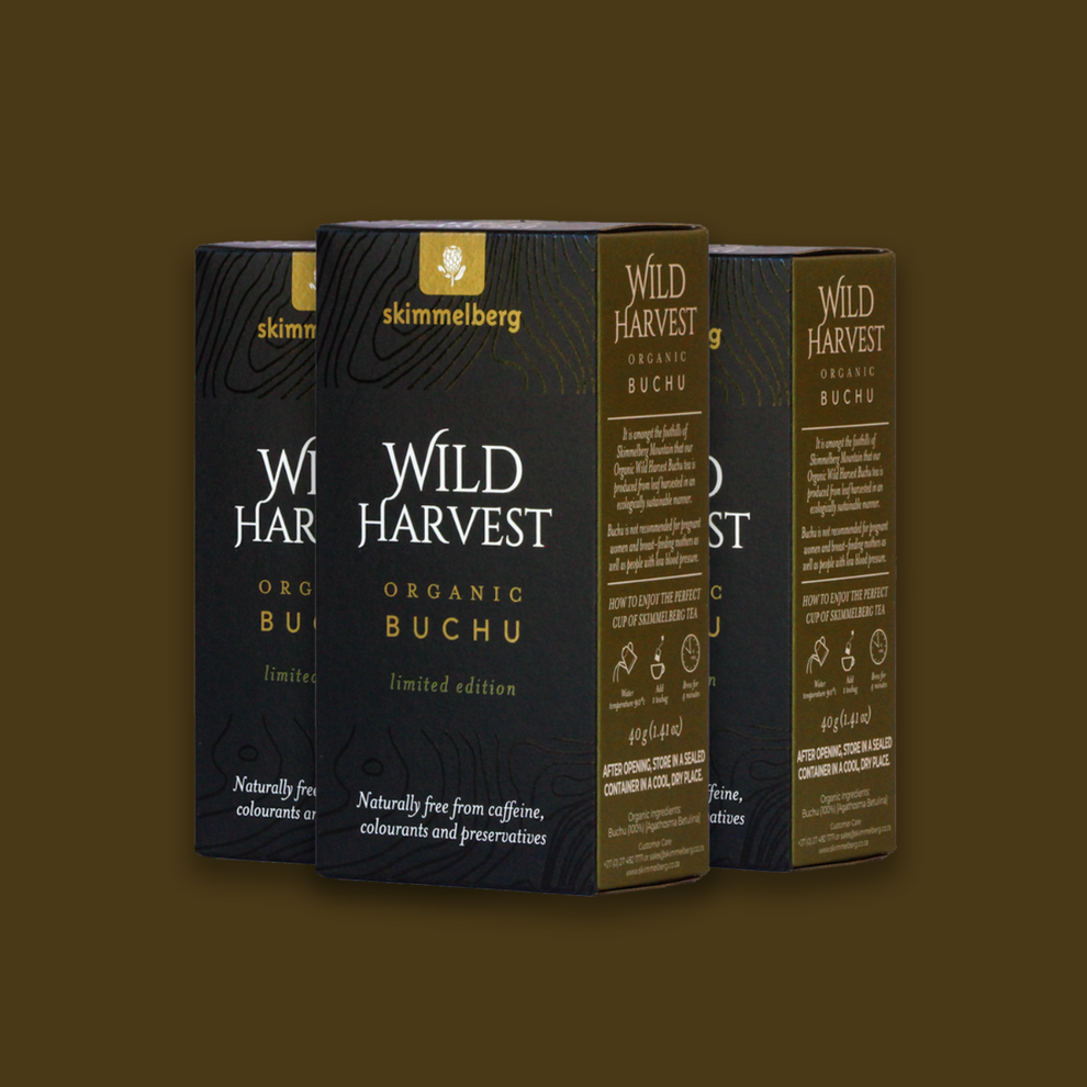 Organic Wild Harvest Buchu Tea | Shop Online | South Africa – Skimmelberg